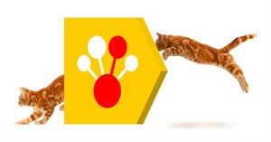 Advanced resampling and selection of CatBoost models by brute-force method - MQL5 Articles