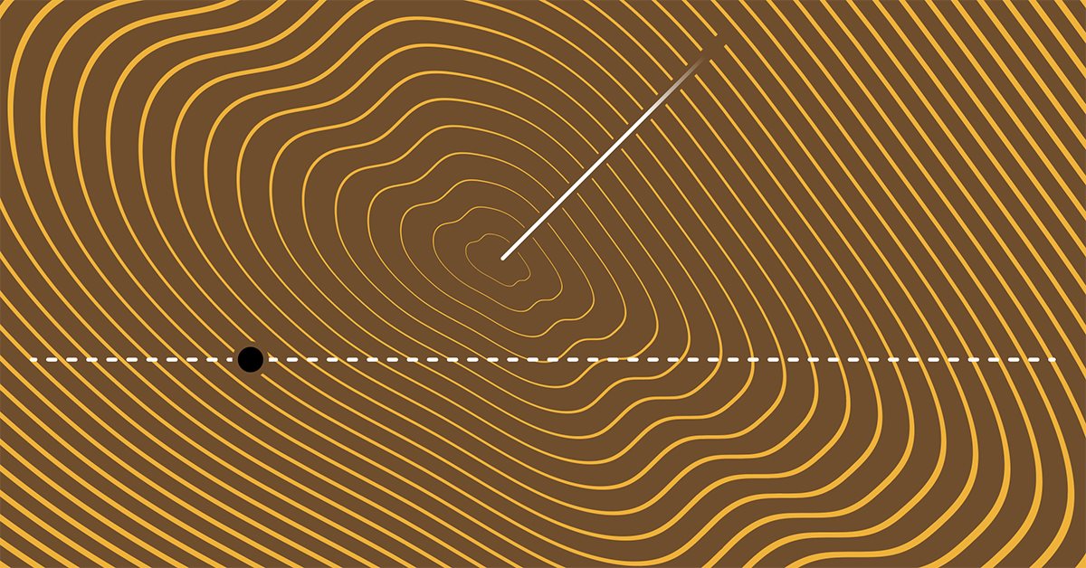 Elastic net regression using coordinate descent in MQL5 - MQL5 Articles