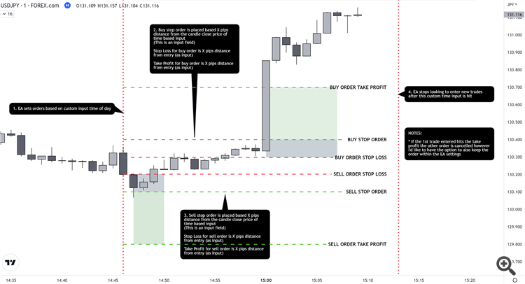 Build An Ea That Works Based On Time Of Day With Buy And Sell Entry Orders Set In Both