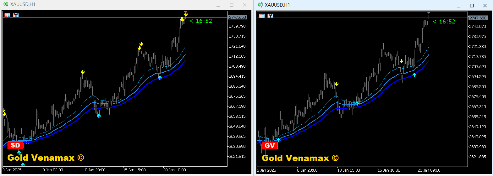 Comments | Gold Venamax MT5 | Buy Trading Indicator for MetaTrader 5