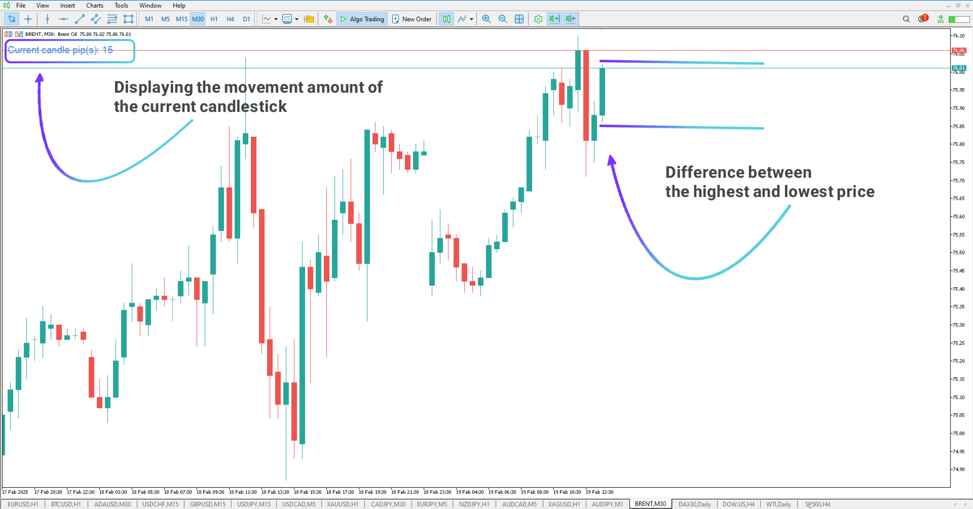 Show Current Candle Indicator MT5 | Free Download Trading Indicator for MetaTrader 5