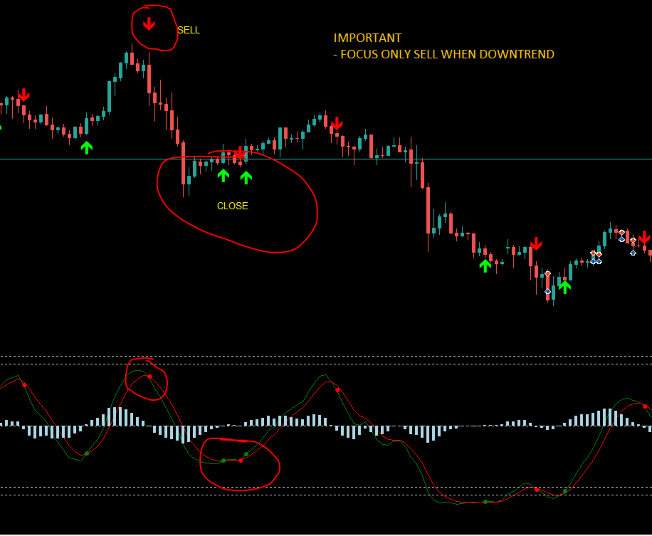 WaveTrend Pro Arrow | Free Download Trading Indicator for MetaTrader 5