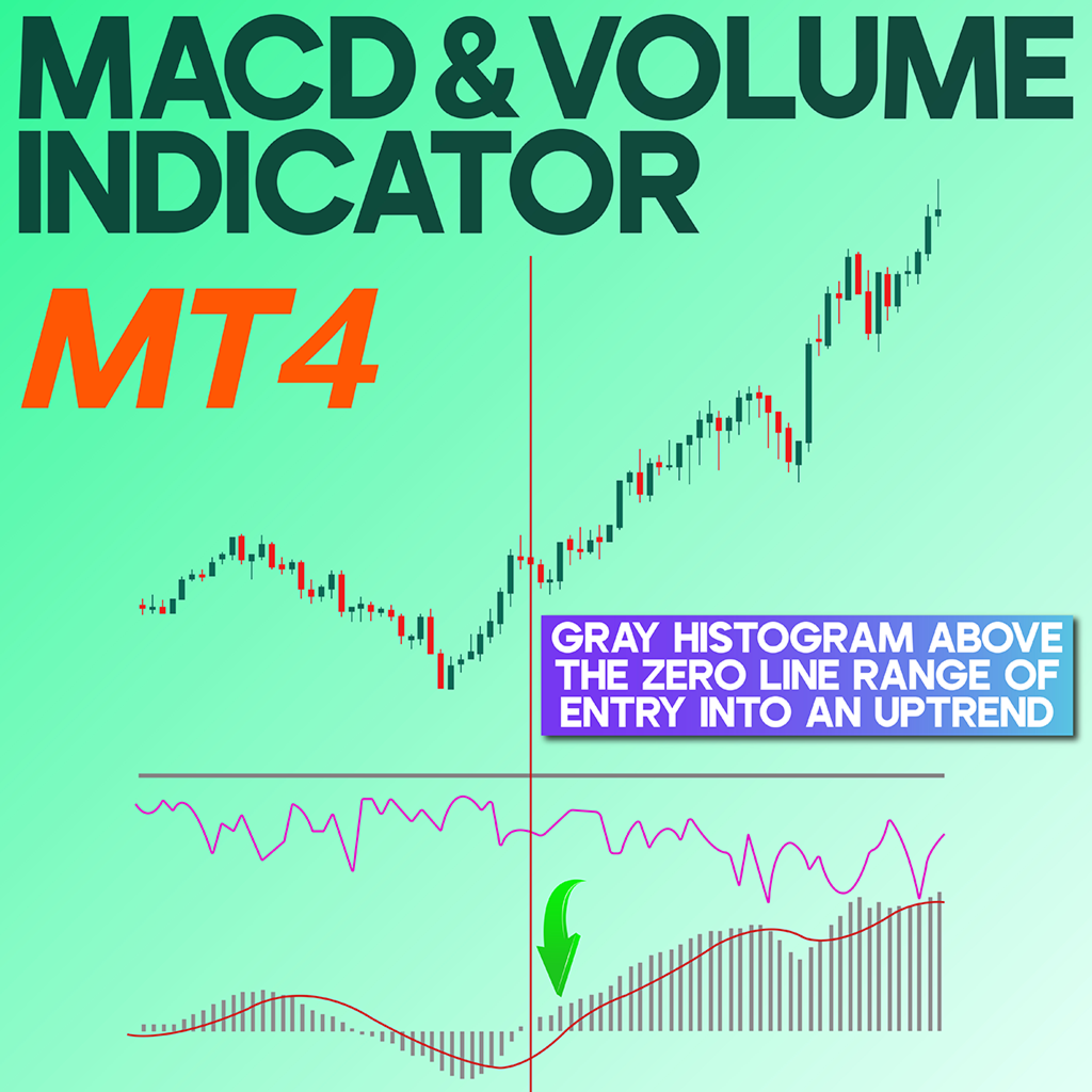 MACD and Volume Indicator MT4 | Free Download Trading Indicator for MetaTrader 4