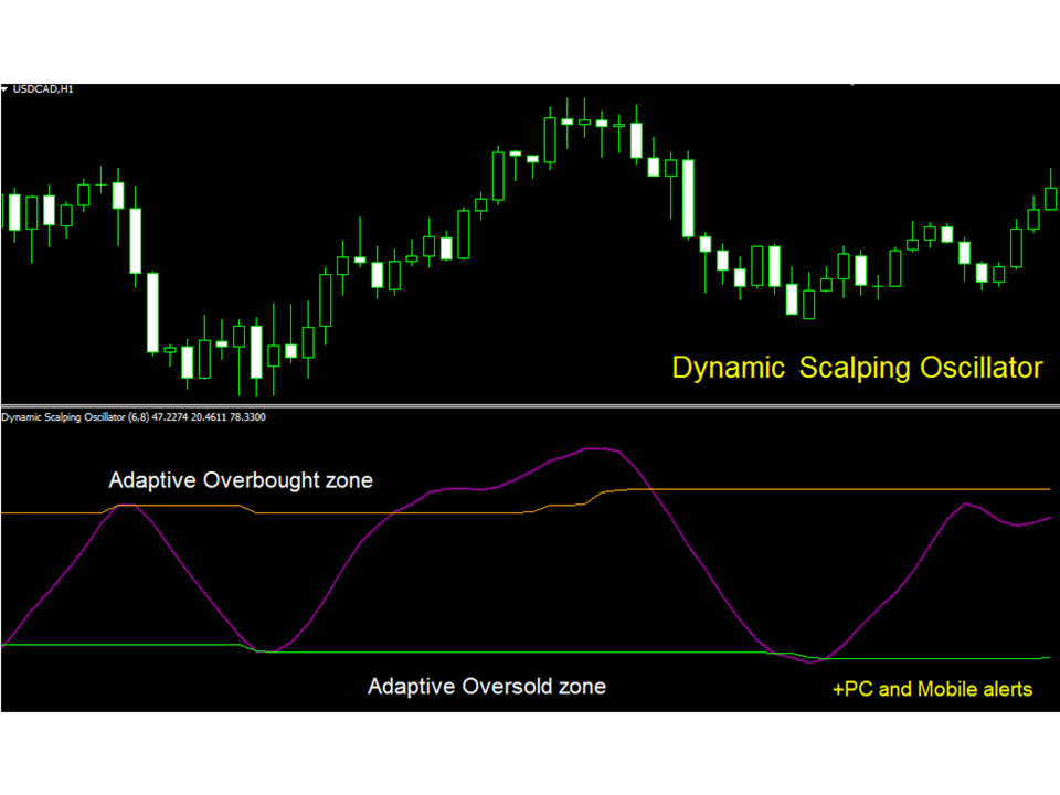 Dynamic Scalping Oscillator mq | Buy Trading Indicator for MetaTrader 4
