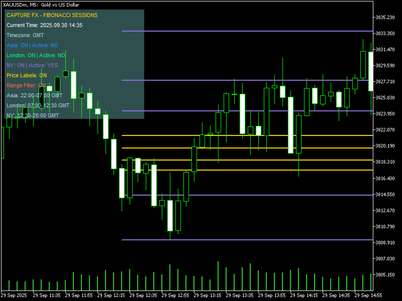 Fibonacci Sessions MT5 | Compre Indicador técnico para MetaTrader 5