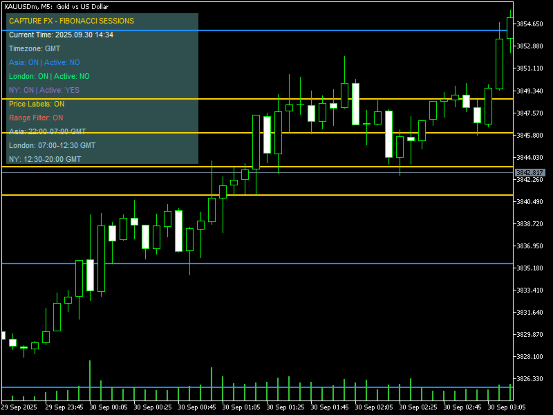 Fibonacci Sessions MT5 | Buy Trading Indicator for MetaTrader 5