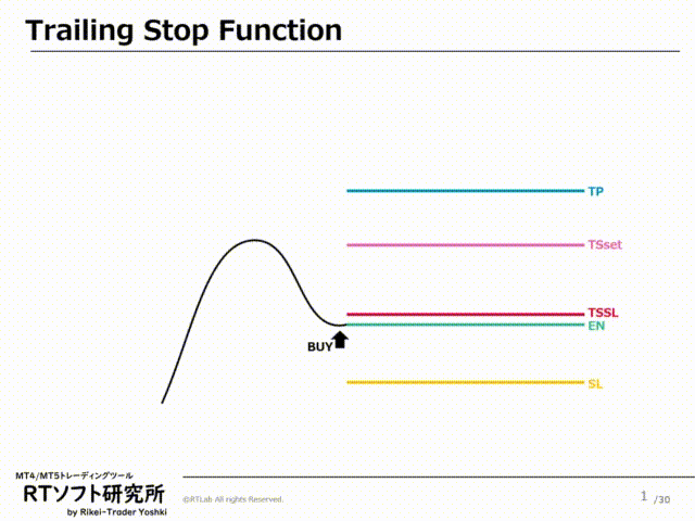 Lot calculation tool "Easy order" --- instruction manual ---- - Other ...